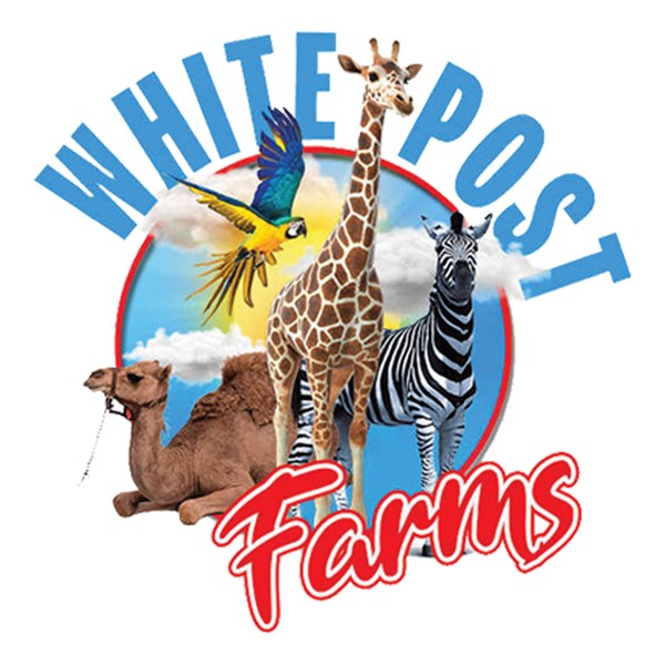 Design Gallery | Lipco